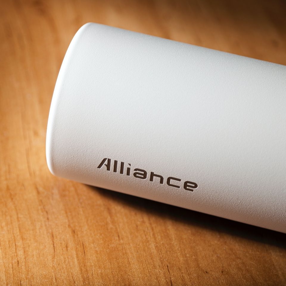 Web App Development | Alpify Technologies