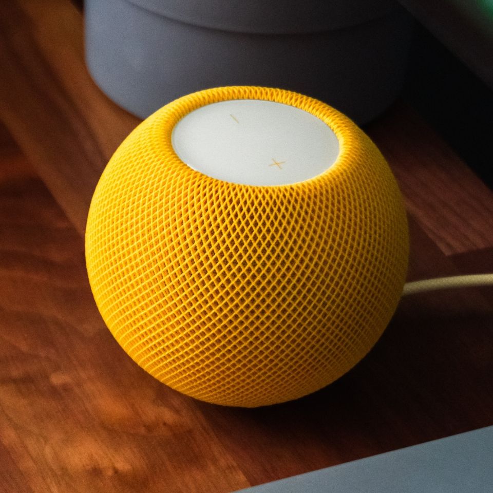 Web App Development | Alpify Technologies